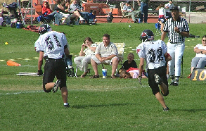 Wild Bunch/2LD Football Forum